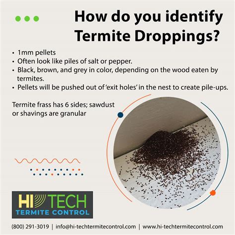 How Do You Identify Termite Droppings •1mm Pellets •often Flickr
