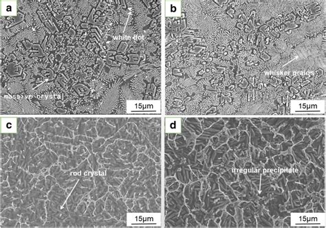 The Cross Sectional Microstructure Of The Composite Coating A S1 B