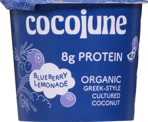 Cocojune Organic Greek Style Cultured Coconut Yogurt Blueberry