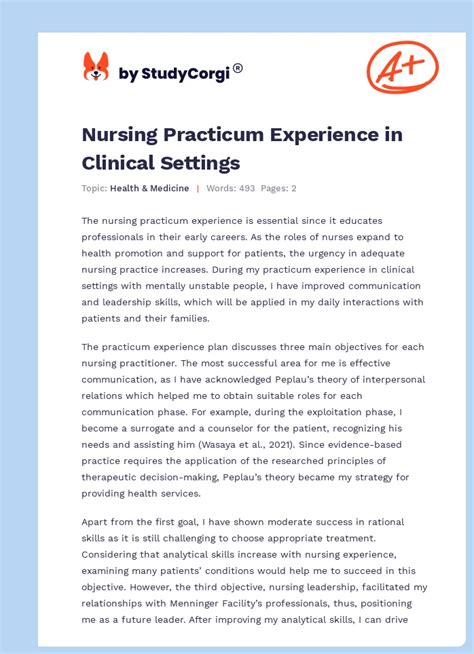 Nursing Practicum Experience In Clinical Settings Free Essay Example