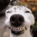 Well Drive Funky Ehh Meme Sound Effect Button For Soundboard By