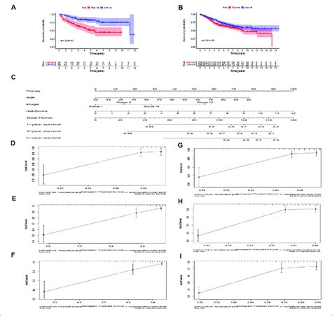 Validation Of The Risk Model In The Geo Dataset And Nomogram For