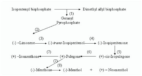 Uromyces Phaseoli Semantic Scholar