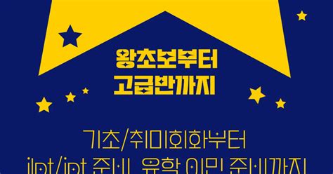 히카리선생님과 일본어 공부해요 히카리센세 숨고 숨은고수