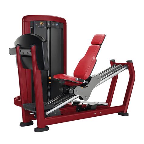ขายส่งขากด Curl Gym อุปกรณ์ราคาอุปกรณ์ คุณภาพสูง ขายส่งขากด Curl Gym