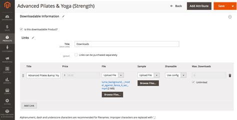 Magento 2 Downloadable Product Mageworx Wiki