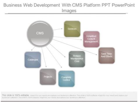 business web development with cms platform ppt powerpoint images