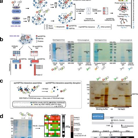 Multi Omics Data Integration Through ConvGNN For COPD Prediction The