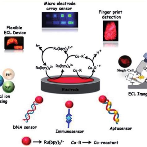 Schematic Diagram Of A Paper Based Microfluidic Ecl Sensor Using