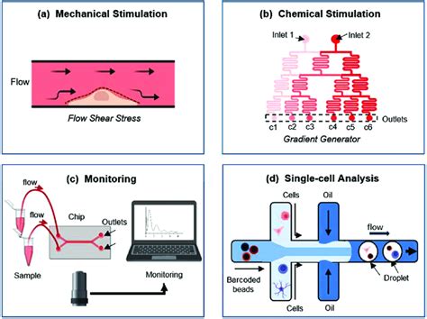 examples of microfluidics in high throughput applications including