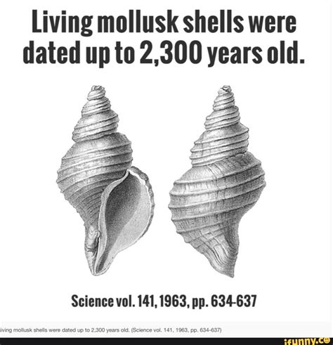 Living Mollusk Shells Were Dated Up To 2300 Years Old Science Vol