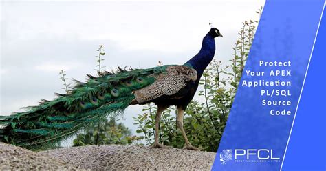 Limited On Linkedin Oracleace Plsql Security