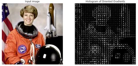 2d Feature Descriptor Hog Sift 정복하기