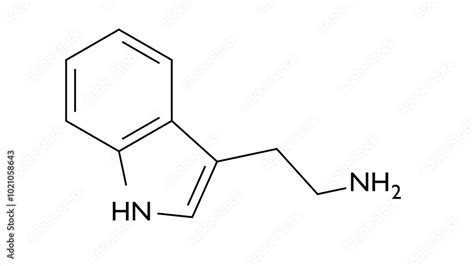 Tryptamine Molecule Structural Chemical Formula Ball And Stick Model