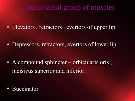 Muscles Of Facial Expressions Pptx