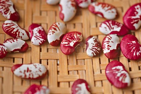 The Andean Lima Bean Also Known As String Bean Lima Bean Or