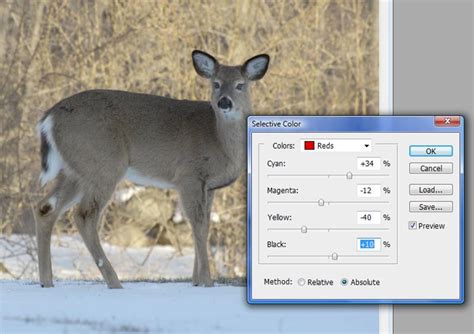 How To Create Snow In A Photograph Using Photoshop Lorri Freedman Photography