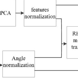 Experimental Flow Chart Download Scientific Diagram