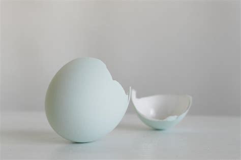 Premium Photo Blue Eggshell