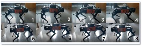 A Dynamic Approach To Low Cost Design Development And Computational Simulation Of A 12dof