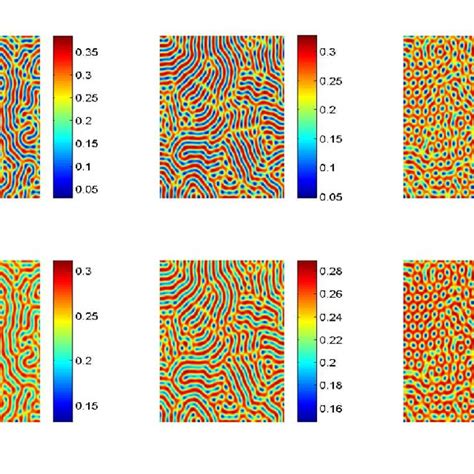 Population Distribution Of Prey Upper Panel And Predator Bottom Download Scientific Diagram