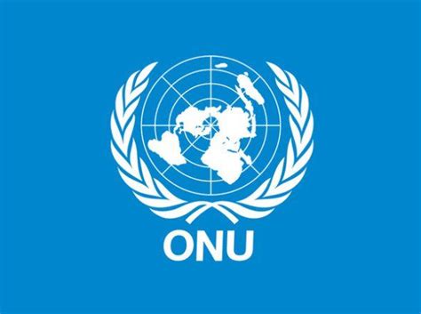 United Nations Human Rights Logo United Nations Human Rights Council Download Free Vector