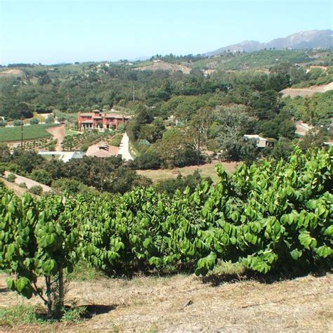 Addressing Wui Wildfire Buffer Gaps — Wildfire Resilience Collaborative Of Santa Barbara County