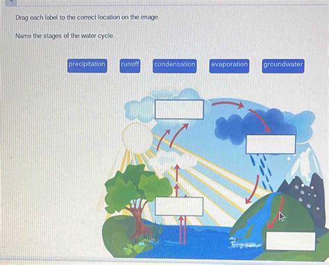 solved drag each label to the correct location on the image name the