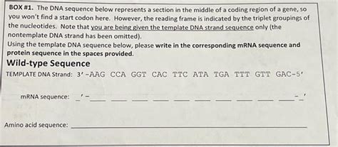 Solved The DNA sequence below represents a section in the | Chegg.com