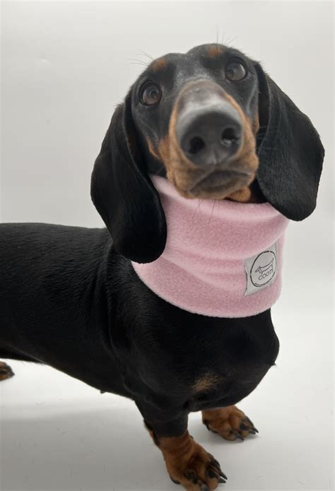 Bibbys Trip To Elites Fertility Clinic Coots At Eversden