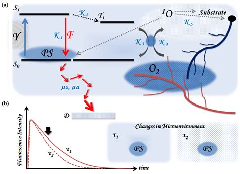 Time Resolved Fluorescence