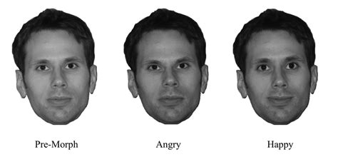 Example Stimuli In Which Angry And Happy Expressions Were Morphed With
