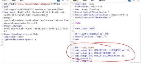 ctfhub ssrf ctfhubpost请求 csdn博客