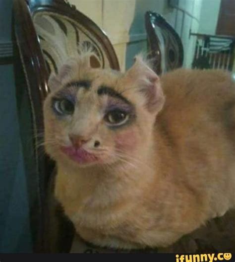 Meow Meow Meow Meow By Wish Sound Effect Meme Button Tuna