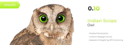 we ve launched exonum version 0 10 by exonum medium