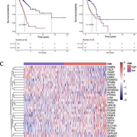 Identification Of An Immune Signature Predicting Prognosis Risk Of Download Scientific Diagram