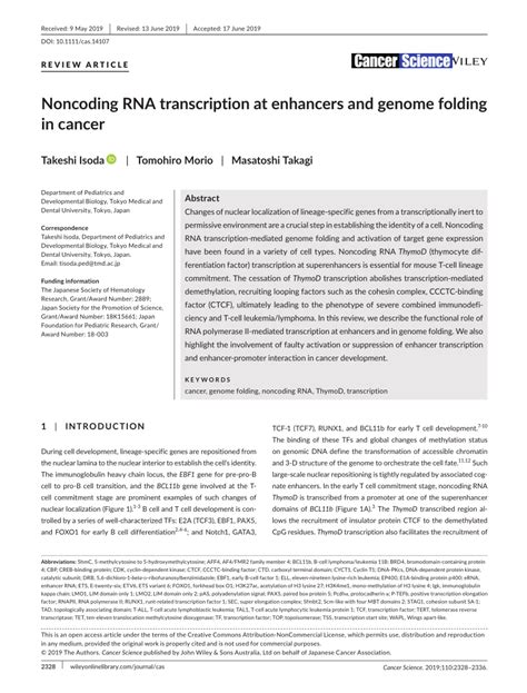 Pdf Noncoding Rna Transcription At Enhancers And Genome Folding In Cancer