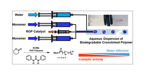Ring Opening Polymerization Of Cyclic Esters In An Aqueous Dispersion Macromolecules
