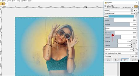 Gimp 210 Feature Spotlight Vignette Filter Davies Media Design