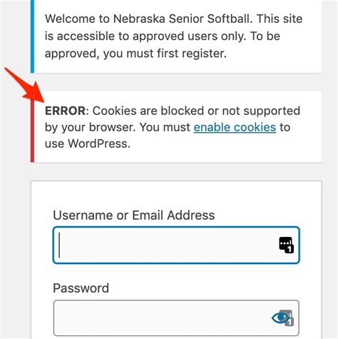 New Menu Nebraska Senior Softball