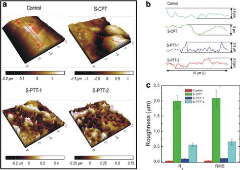 Figure 2 From A Surface Modified Poly ɛ Caprolactone Scaffold Comprising Variable Nanosized