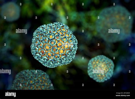 Rift Valley Fever Virus Particles Computer Illustration This Virus Particle Consists Of An Rna