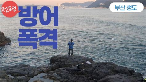 방어폭격 전편 부산 생도 방어 부시리 파핑 지깅 낚시 Youtube