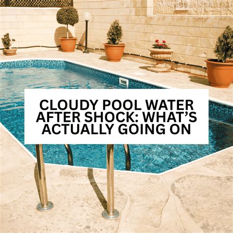 Cloudy Pool Water After Shock Whats Actually Going On Aquadoc
