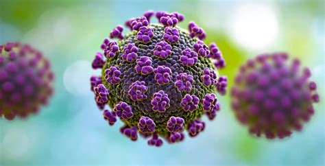 Tectiviridae Is Characterized By Its Icosahedral Capsid And Enveloped