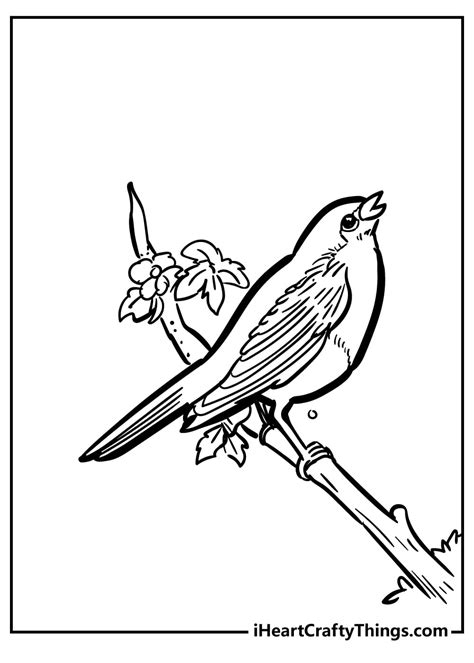 8 Simple Steps To Create A Nice Mockingbird Drawing How To Draw A Mockingbird