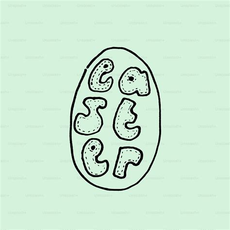 이 이미지에는 난자 안에 Cancer라는 단어가 표시되어 있습니다 벡터 Unsplash의 부활절 이미지