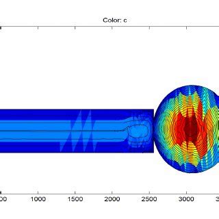 Mass Transfer Flux Patterns Along The CT Download Scientific Diagram