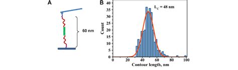 A Schematic Representation Of The Experimental Design For Force