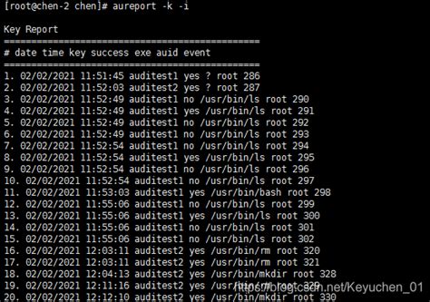 linux审计工具auditd使用与日志收集 linux nf csdn博客